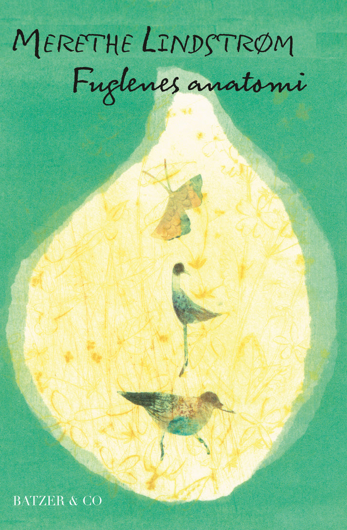 Fuglenes anatomi – thiemersmagasin